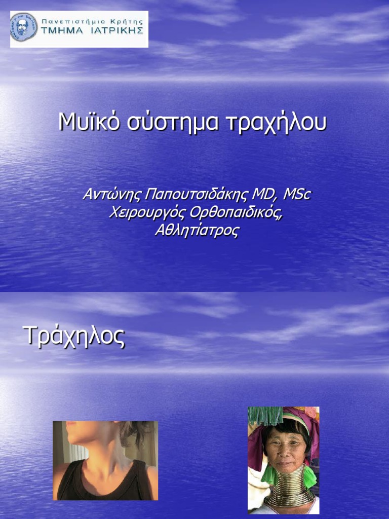 ΜΥΙΚΟ ΣΥΣΤΗΜΑ ΤΡΑΧΗΛΟΥ (Autosaved) | PDF