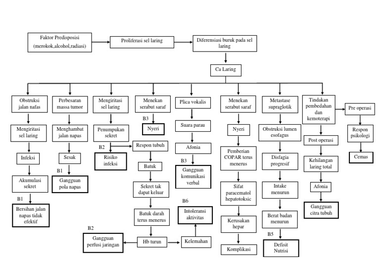 Pathway CA Laring | PDF