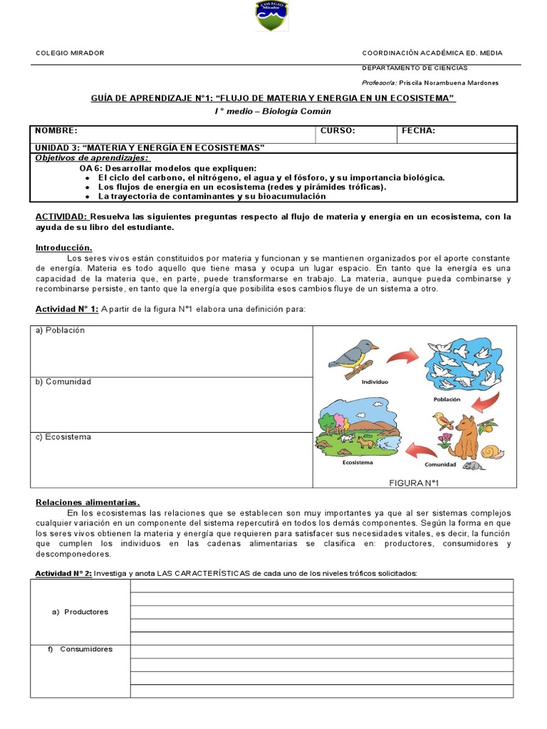 Guía N°1 - Flujo de Materia y Energía en Ecosistema | PDF | Ecosistema ...