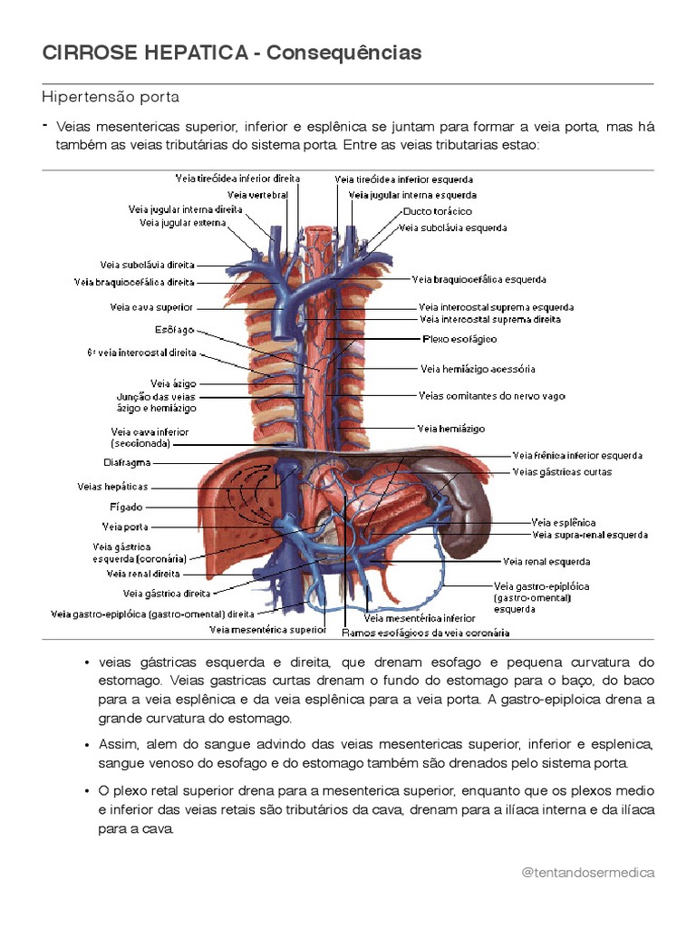 CIRROSE HEPATICA - Consequências | PDF | Fígado | Veia