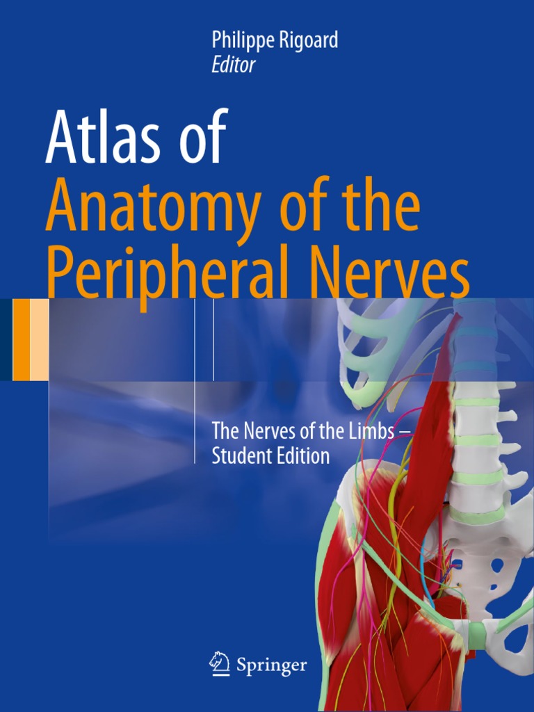 Atlas of Anatomy of The Peripheral Nerves | PDF | Anatomy | Nervous System