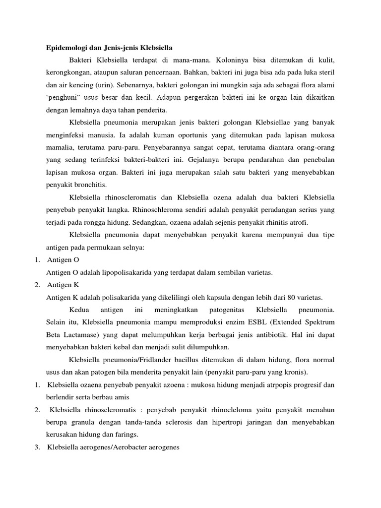 Identifikasi Klebsiella | PDF