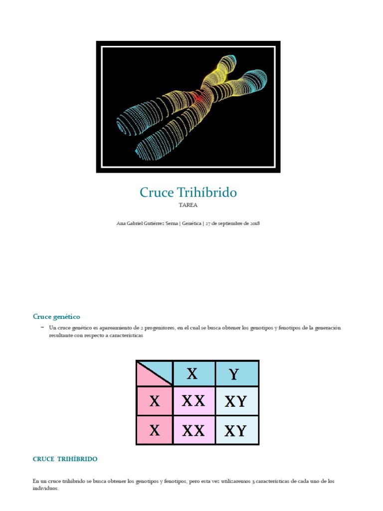 Cruce Trihíbrido