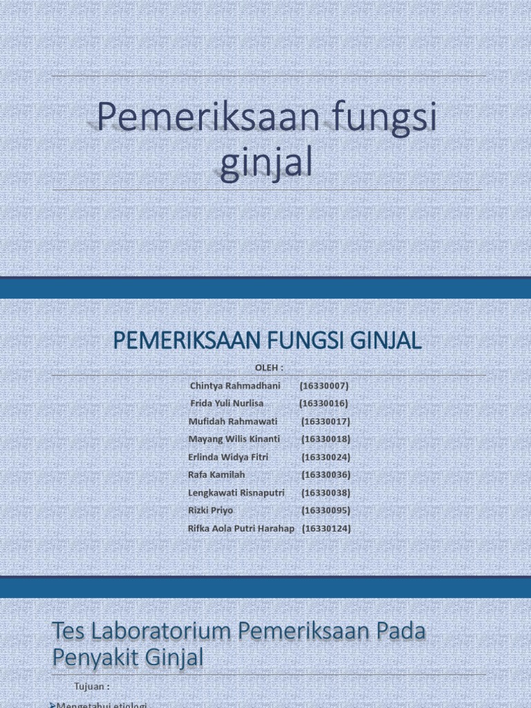 Pemeriksaan Fungsi Ginjal | PDF