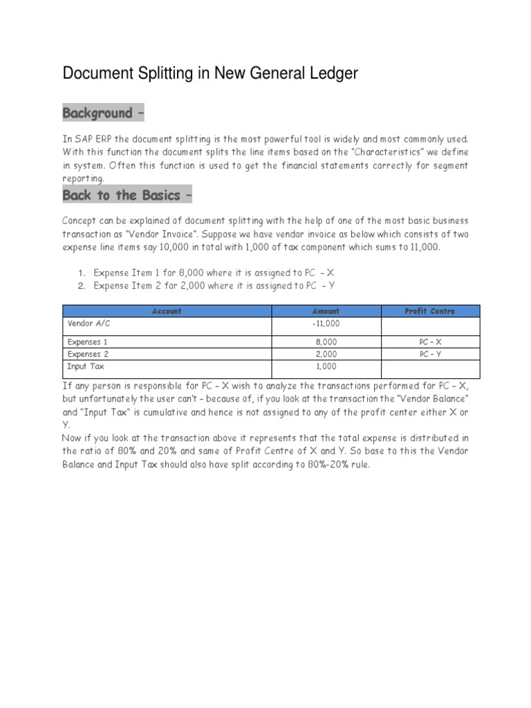 Document Splitting in New General Ledger | PDF | Debits And Credits ...