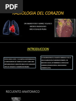 Signo de Roesler | PDF | Ciencia y matemáticas