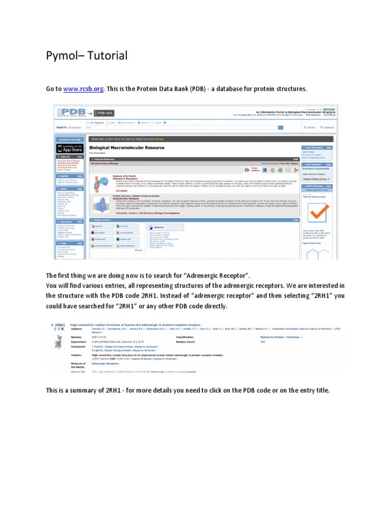 Tutorial Pymol | PDF | Protein Data Bank | Amino Acid