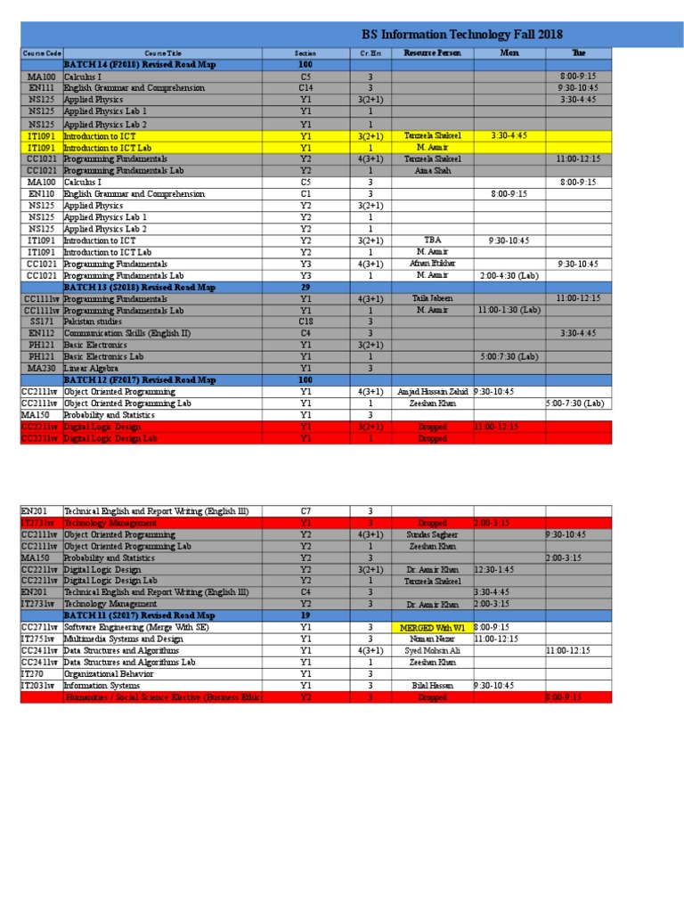 UMT BSCS Roadmap 2025 Overview | PDF | Information And Communications Technology | Information Age