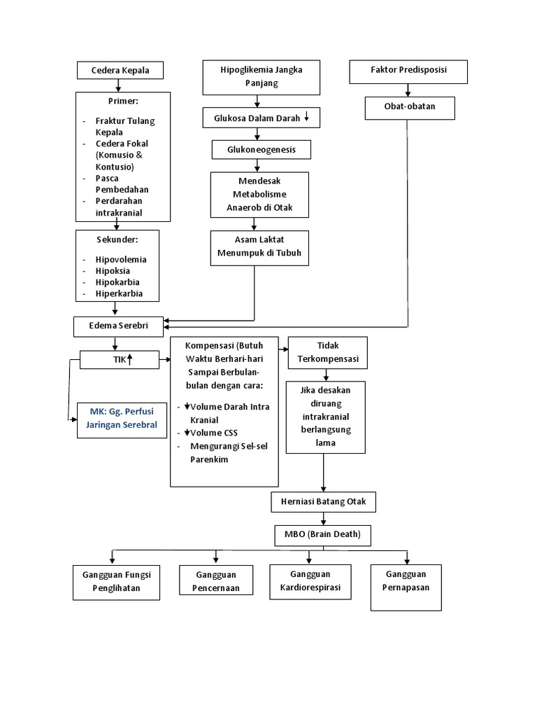 Pathway Mati Batang Otak | PDF