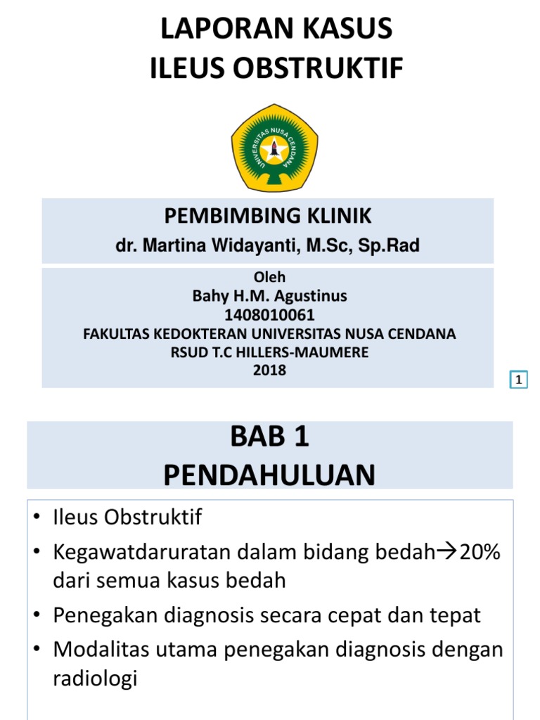 Bahy H M Agustinus-1408010061-Lapsus Ileus Obstruktif | PDF