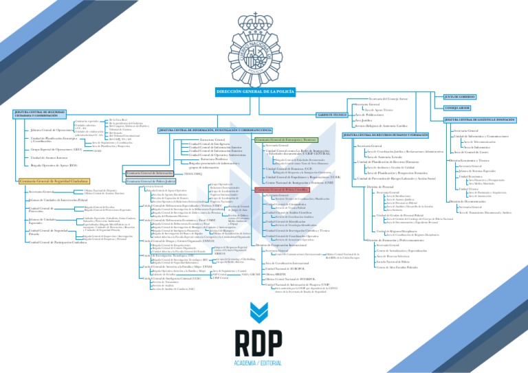 ORGANIGRAMA DGP - RDP Formación | PDF | Cumplimiento de la ley | Crimen y violencia