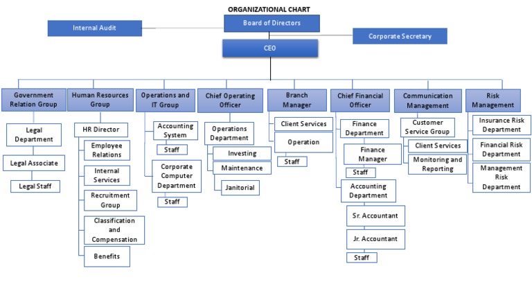 Org Chart | PDF | Board Of Directors | Human Resources