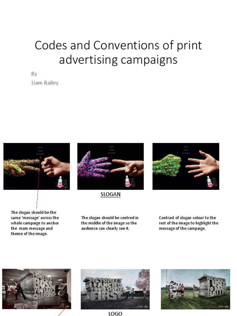 Print Advertising Campaign Guidelines | PDF