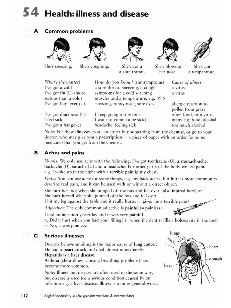 Health and Illnesses | PDF