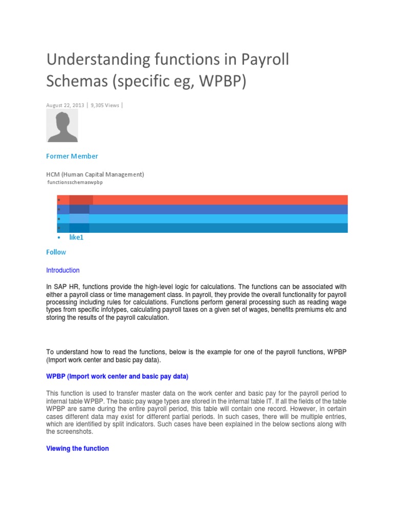 Understanding Functions in Payroll Schemas | PDF | Subroutine | Payroll