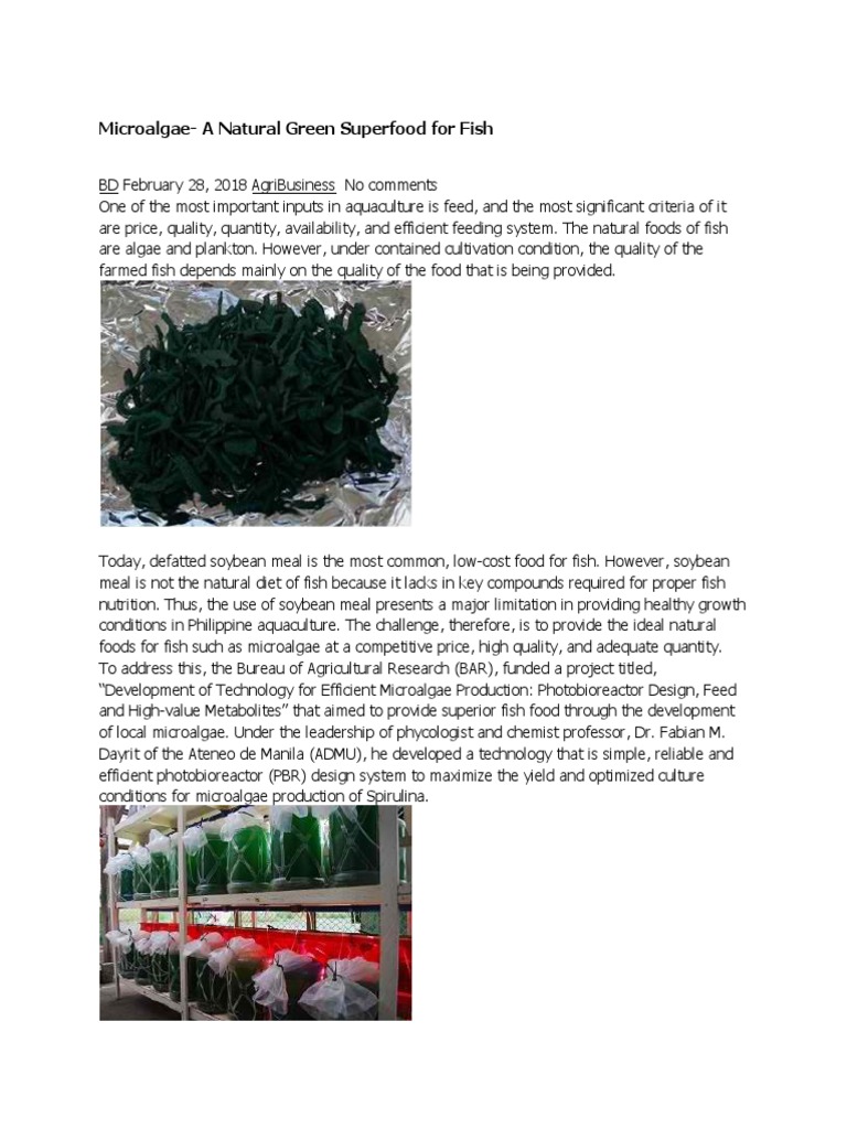 Microalgae - A Natural Green Superfood For Fish | PDF | Nutrition ...