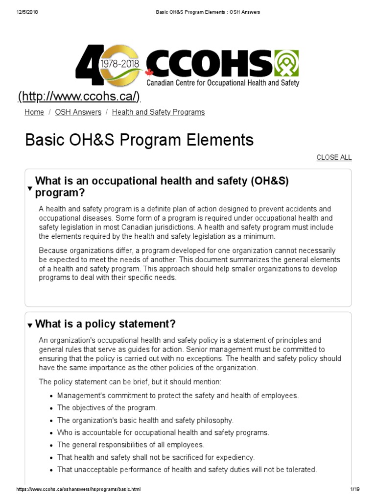 Basic OH&S Program Elements | PDF | Occupational Safety And Health | Safety