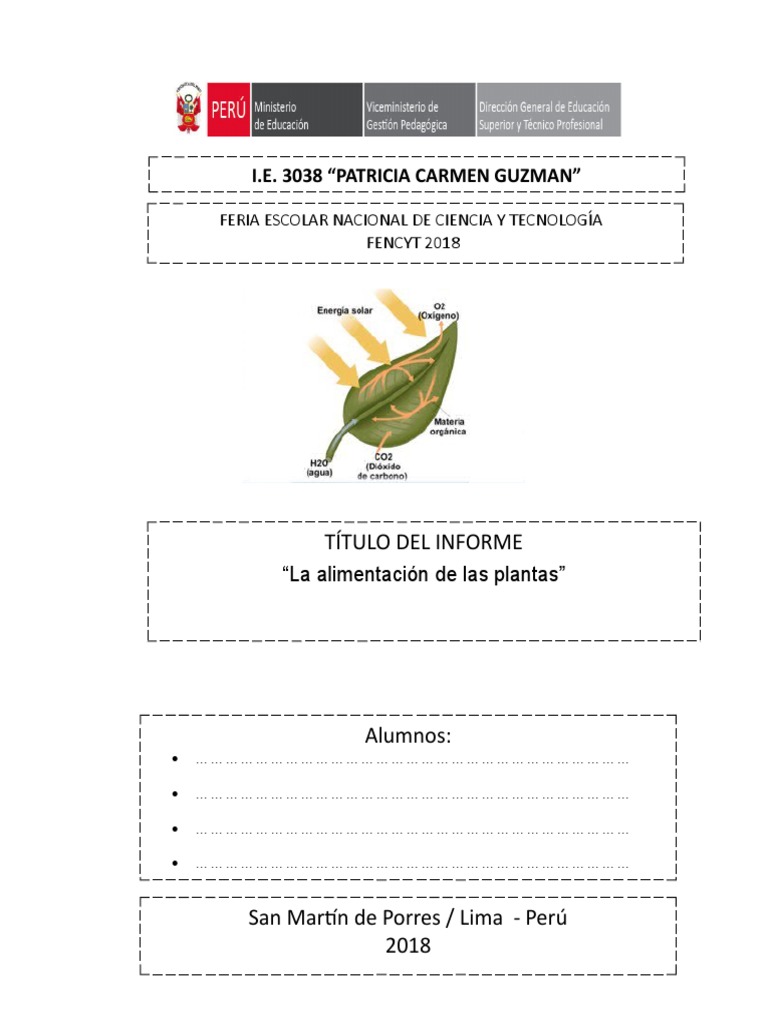 Cómo las plantas fabrican su alimento | PDF | Fotosíntesis | Plantas