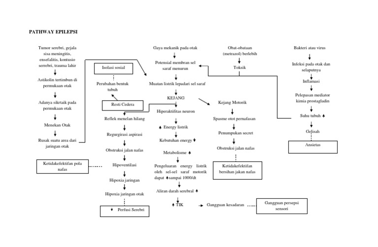 Pathway Epilepsi pada Anak dan Kejang | PDF