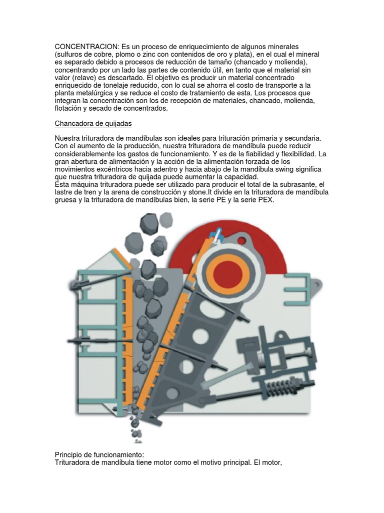 Planta Concentradora | PDF | Naturaleza