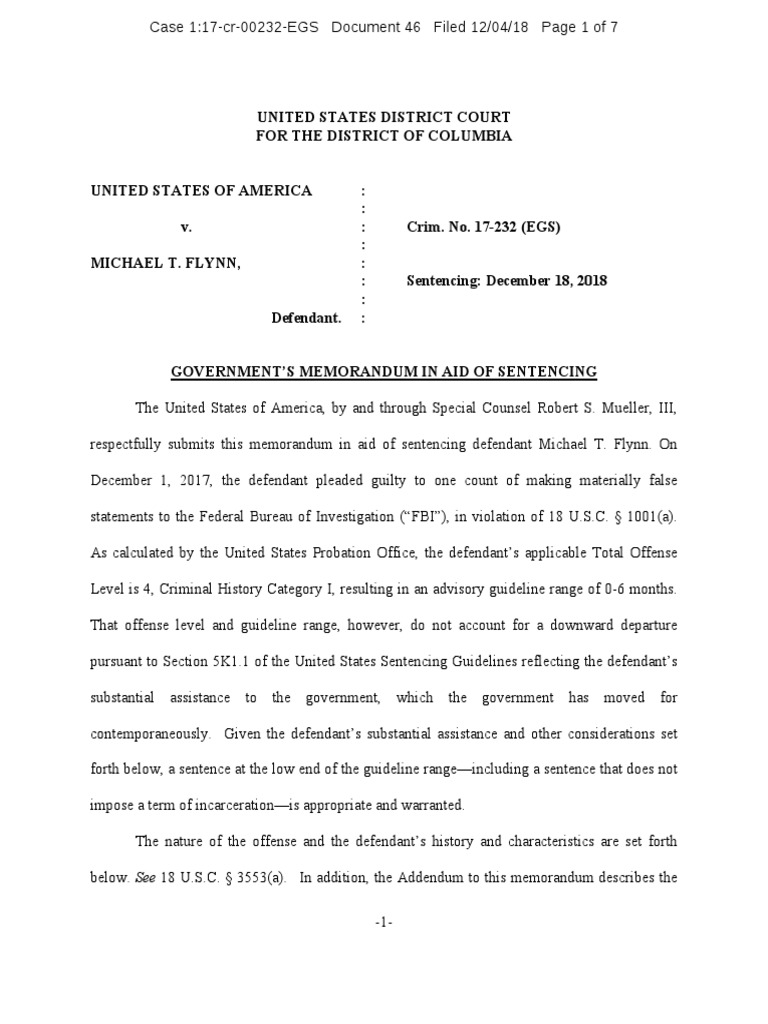 Michael Flynn Sentencing Memo | PDF | Federal Bureau Of Investigation ...