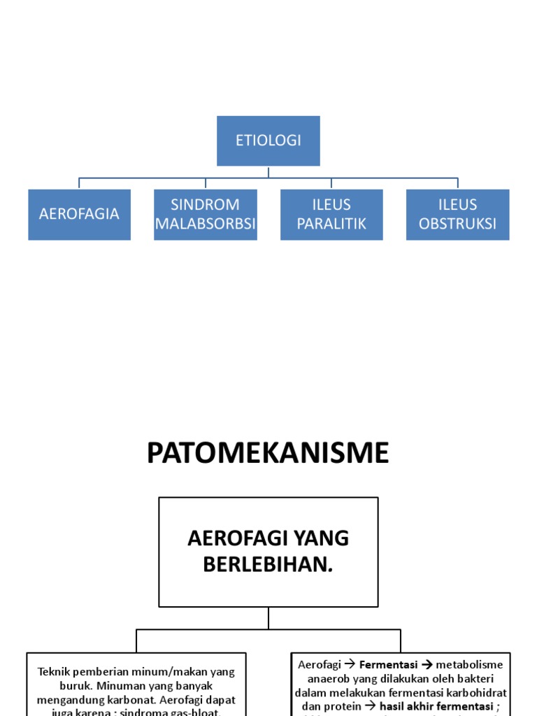 Meteorismus pada Anak: Diagnosis dan Terapi | PDF