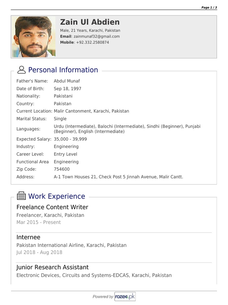 Rozee CV 8422312 Zain Abdien PDF | PDF