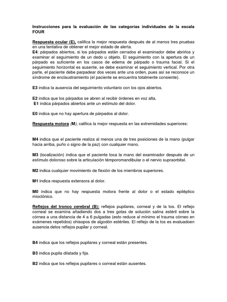 Instrucciones Para La Evaluación de Las Categorías Individuales de La ...