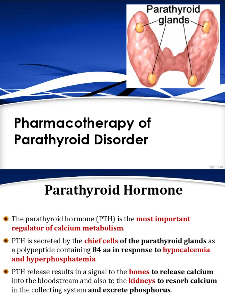 Paratiroid | PDF | Parathyroid Gland | Vitamin D
