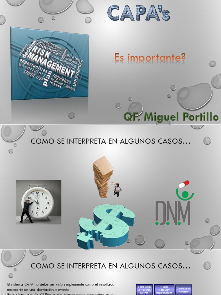 CAPAs | PDF | Calidad (comercial) | Auditoría