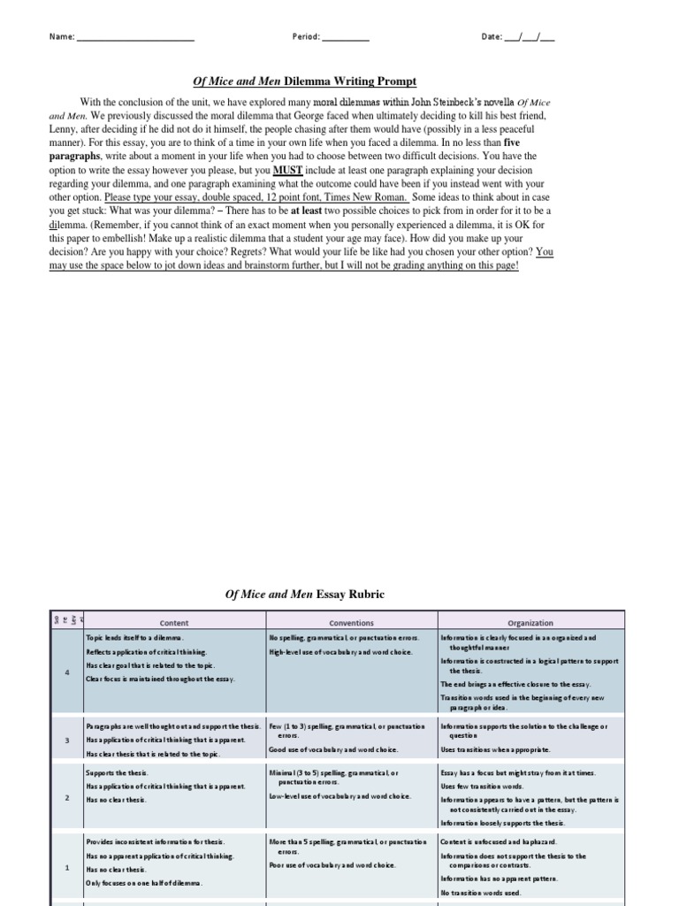 Transfer Task Prompt and Rubric | PDF | Essays | Critical Thinking
