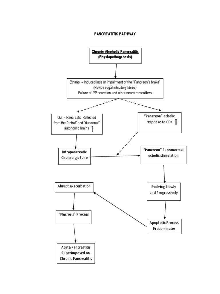 Pancreatitis Pathway | PDF