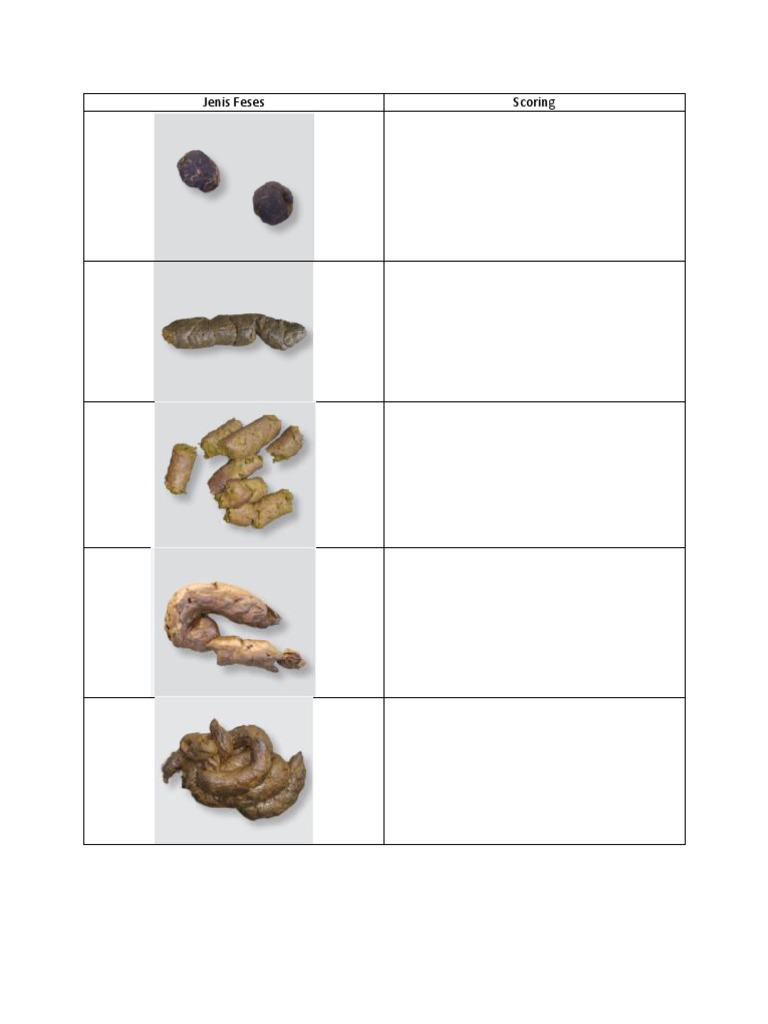 Sistem Klasifikasi Jenis Feses Berdasarkan Skor | PDF