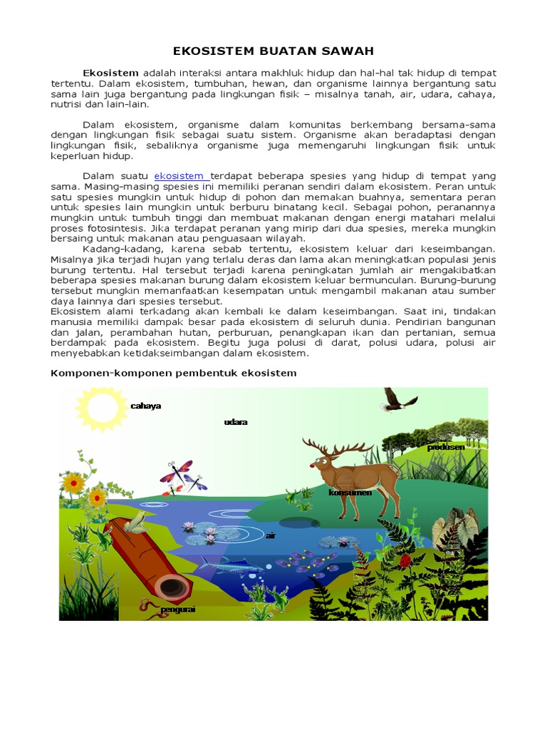 KOMPONEN PEMBENTUK EKOSISTEM SAWAH | PDF