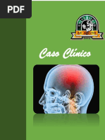 Deterioro Rostrocaudal: Etiología | PDF | Medicina | Sistema nervioso