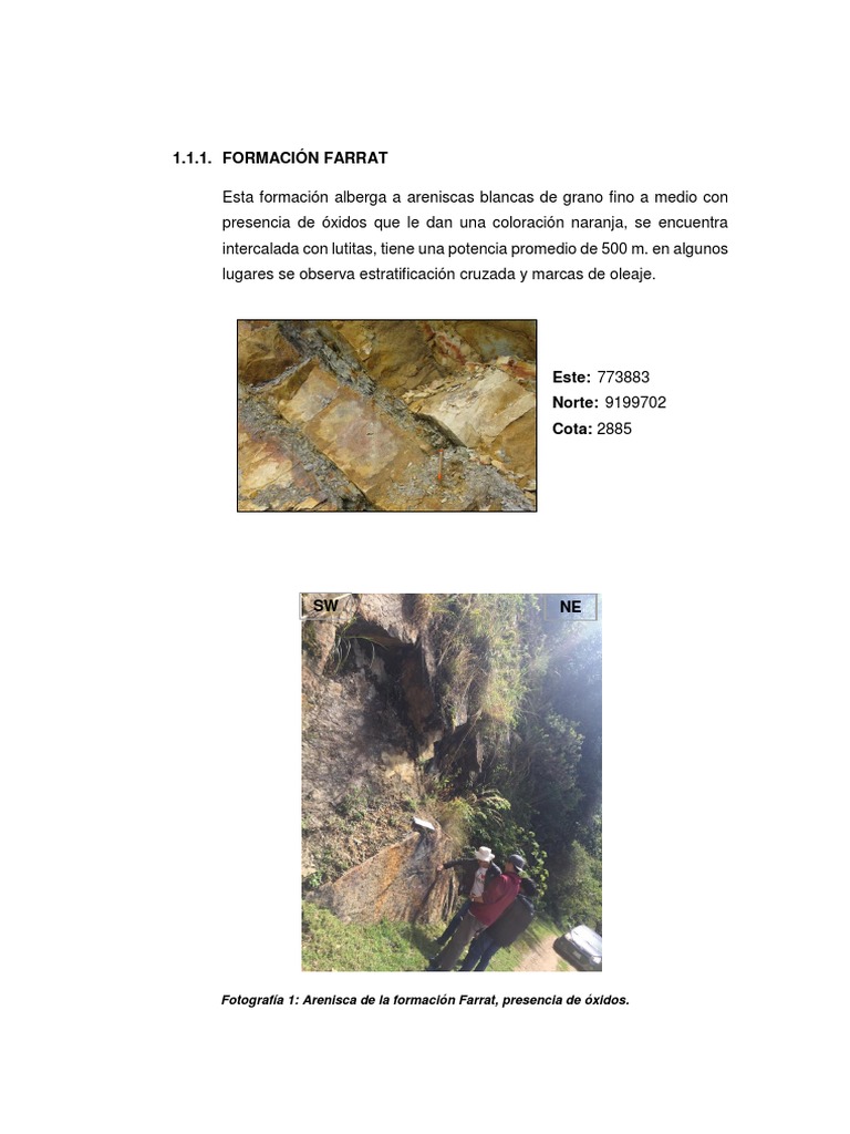 Formacion Farrat | PDF