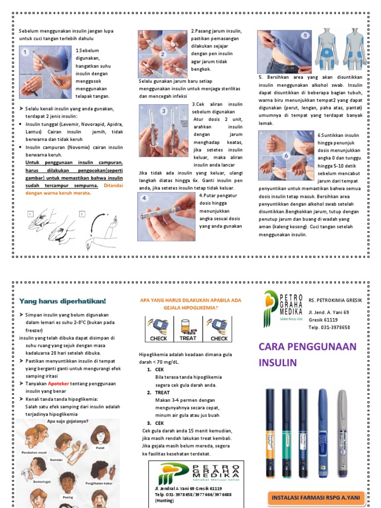 Brosur Insulin | PDF