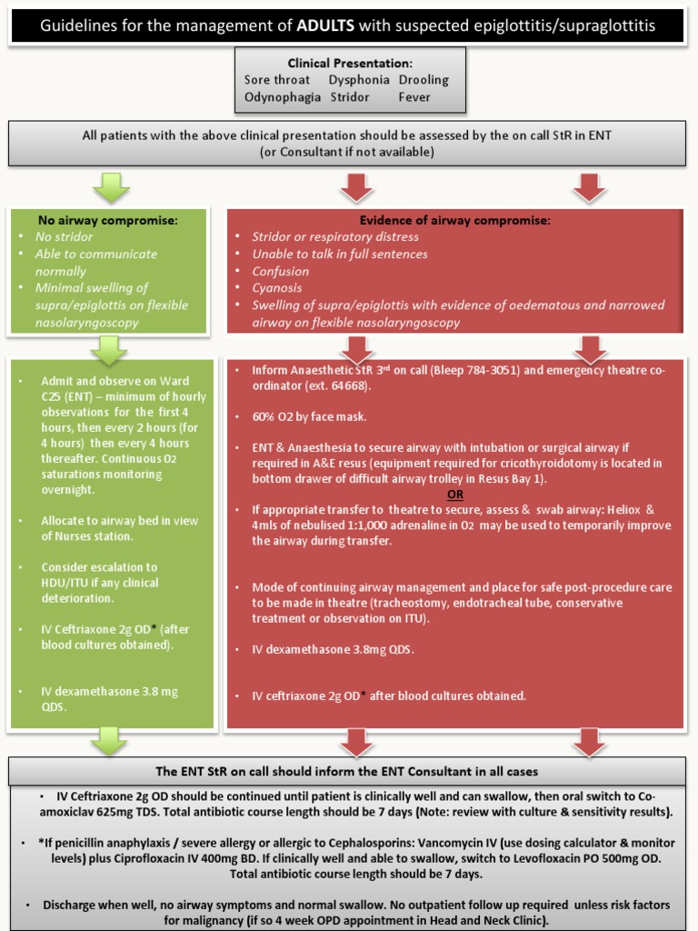 Adults With Suspected Epiglottitis - Supraglottitis Guidelines For The ...
