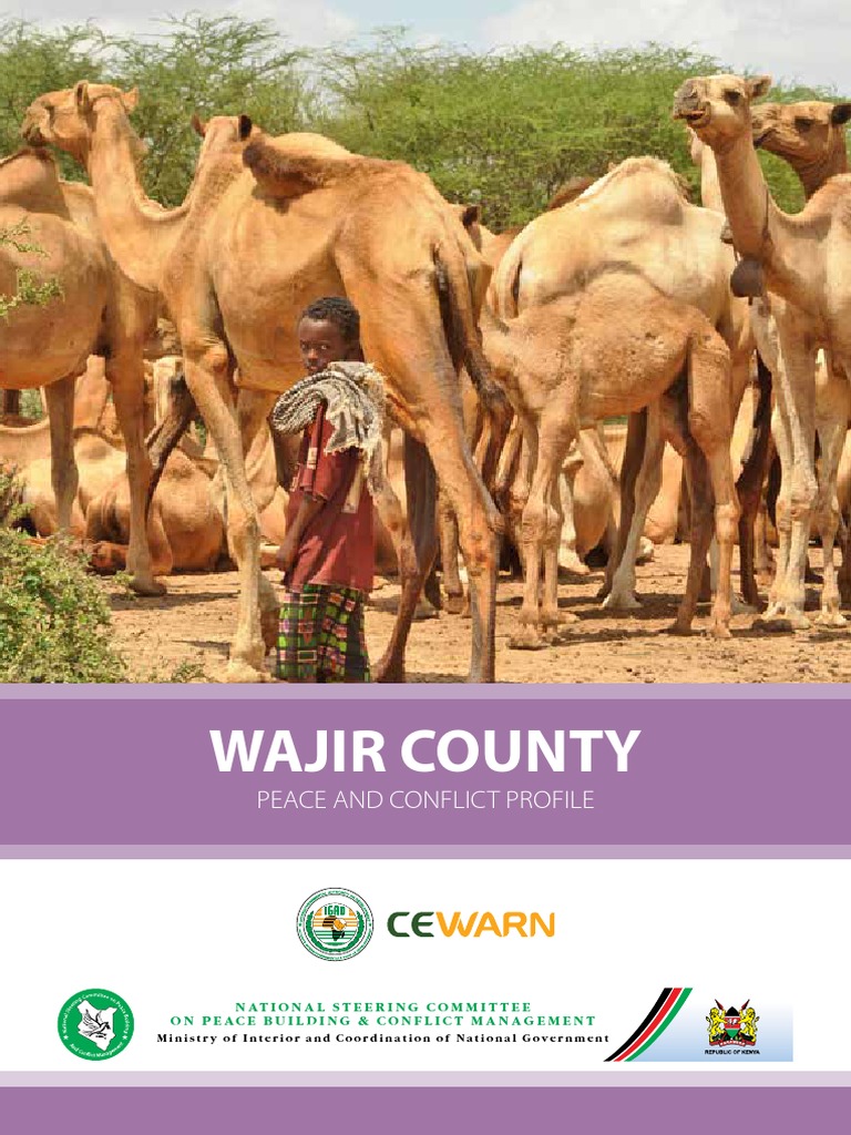 Wajir County, Kenya Peace and Conflict Profile | PDF | Peacebuilding ...