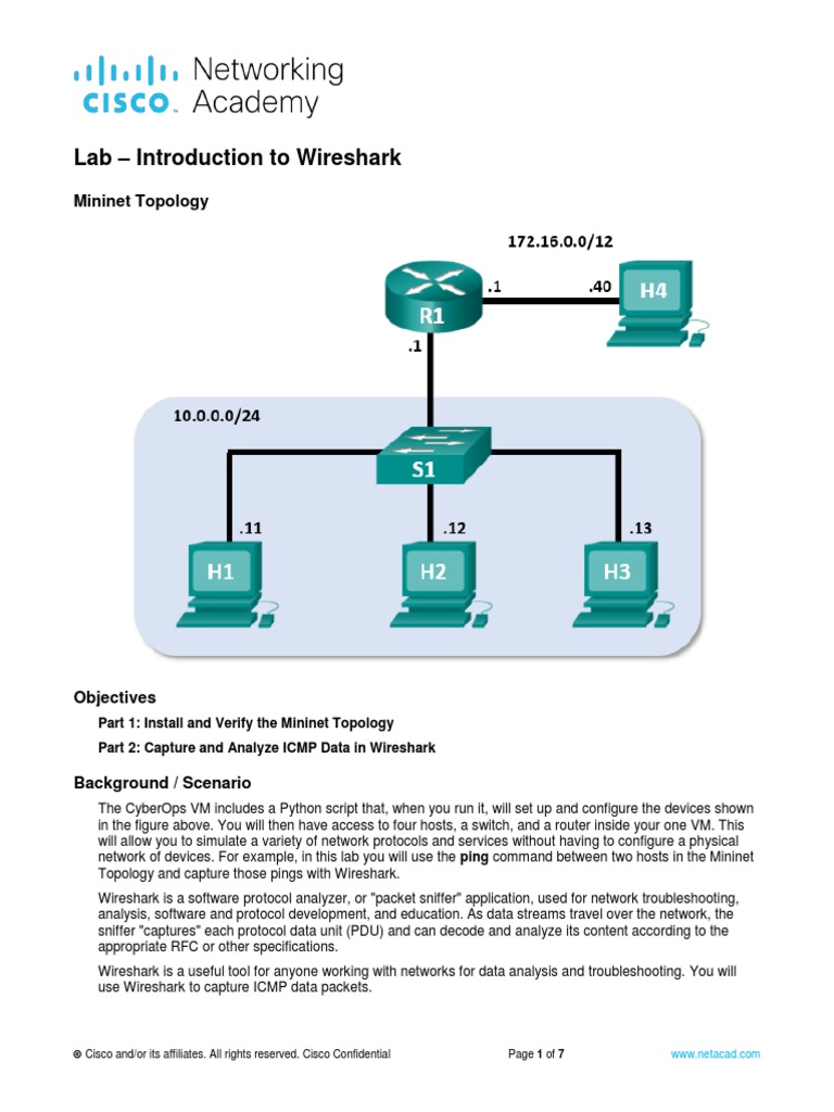 4.1.2.10 Lab - Introduction To Wireshark | PDF | Computer Network | Network Packet