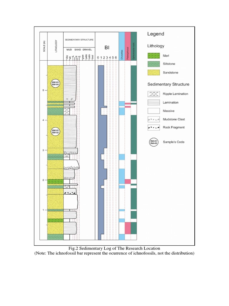 Sedimentary Log of The Research Area | PDF
