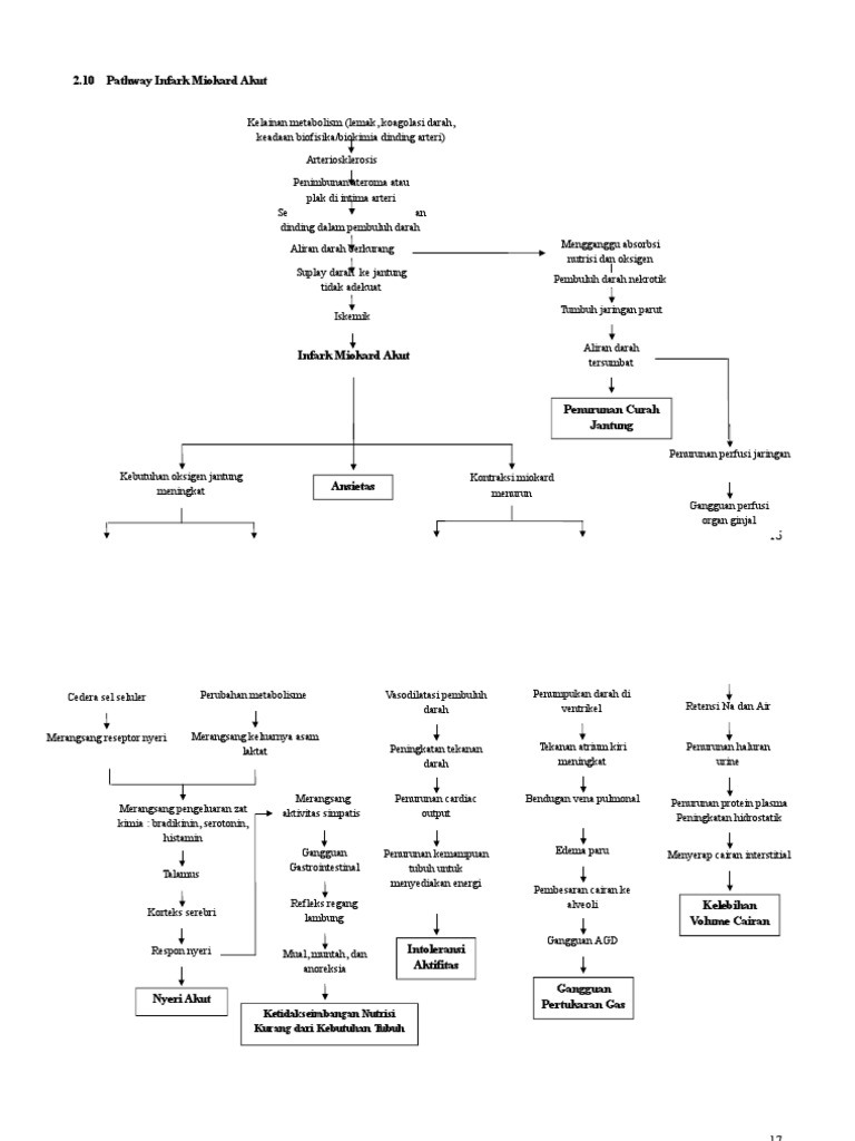 Pathway Infark Miokard Akut 1 | PDF