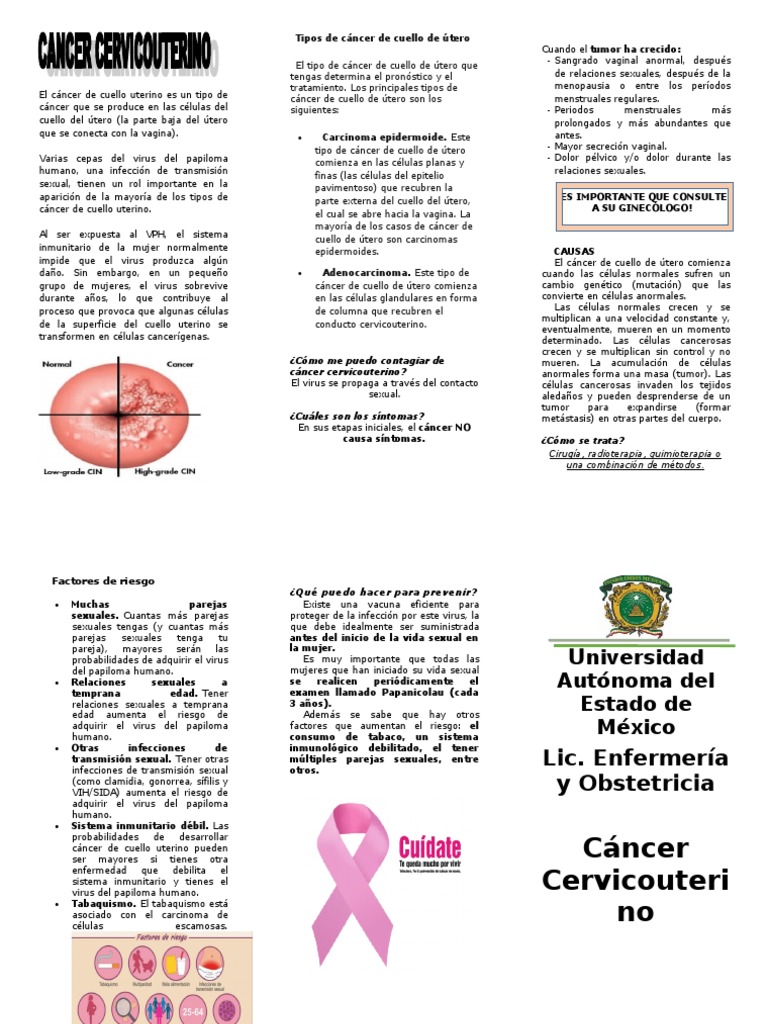 Triptico Cancer Cervicouterino | Cáncer de cuello uterino | Vagina