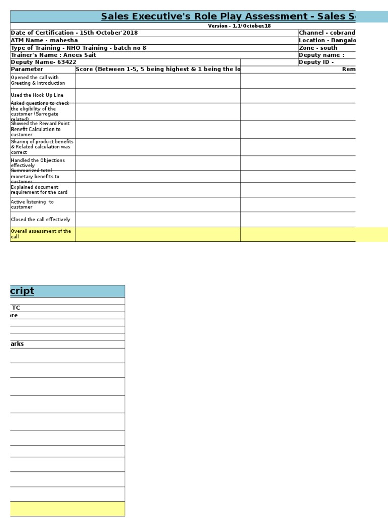 Sales Executive Role Play Assessment | PDF