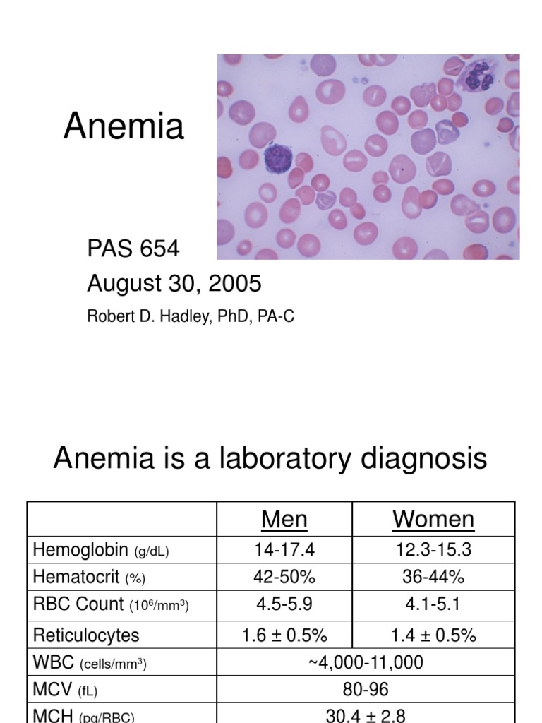 Anemia | PDF | Anemia | Vitamin B12