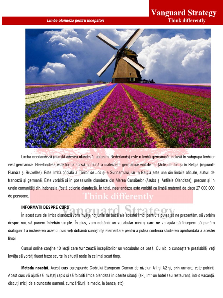 Limba Olandeza Pentru Incepatori PDF | PDF
