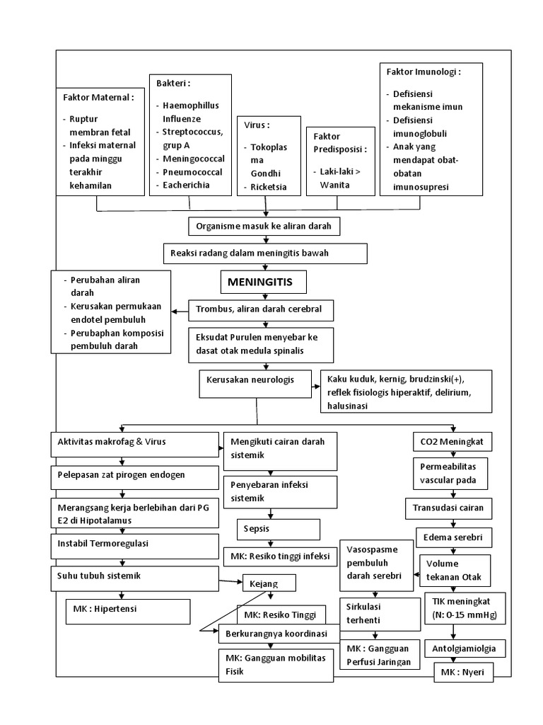 Pathway Meningitis Bener | PDF