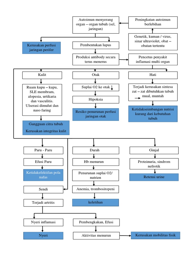 Pathway SLE | PDF
