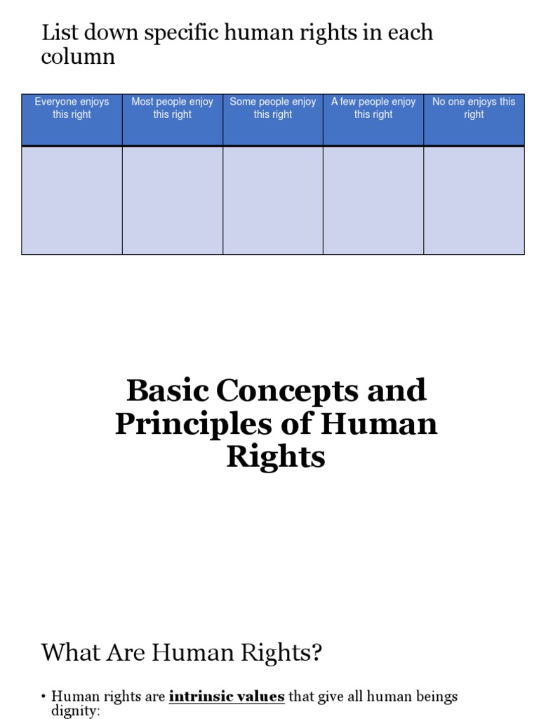 Core Principles of Human Rights Explained | PDF | Human Rights | Treaty