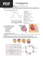 ECG - Eixo Eletrico Cardiaco 01 | PDF | Eletrocardiografia | Coração